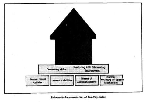 Prerequisites for Normal Speech and Language Development