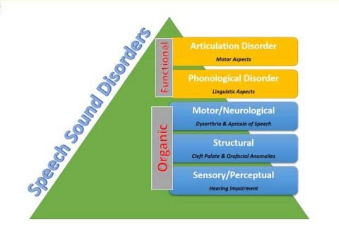Speech Sound Disorders - Articulation Phonological and Organic
